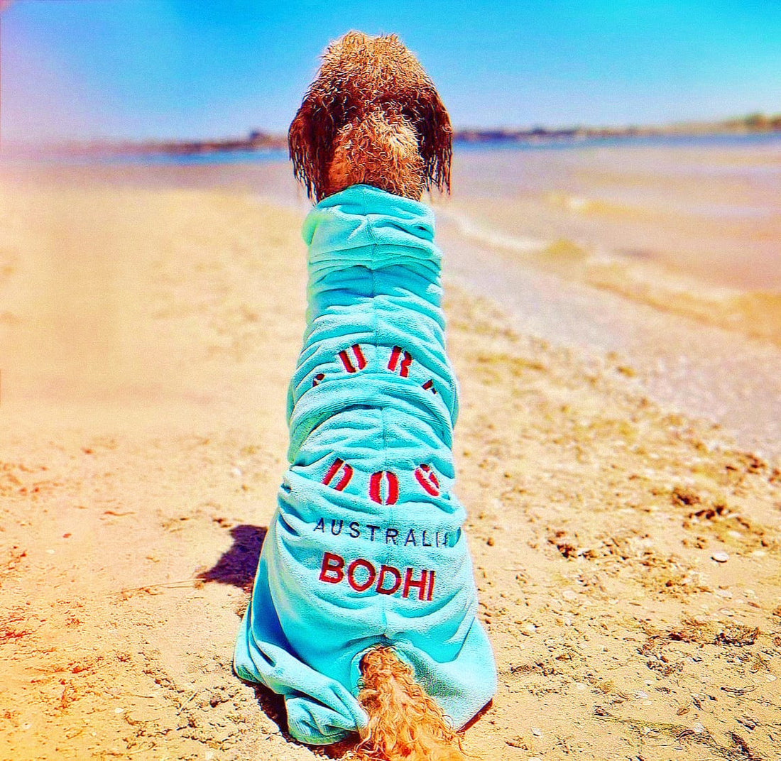 Dog Lifejackets & Custom Wetsuits – Surfdog Australia