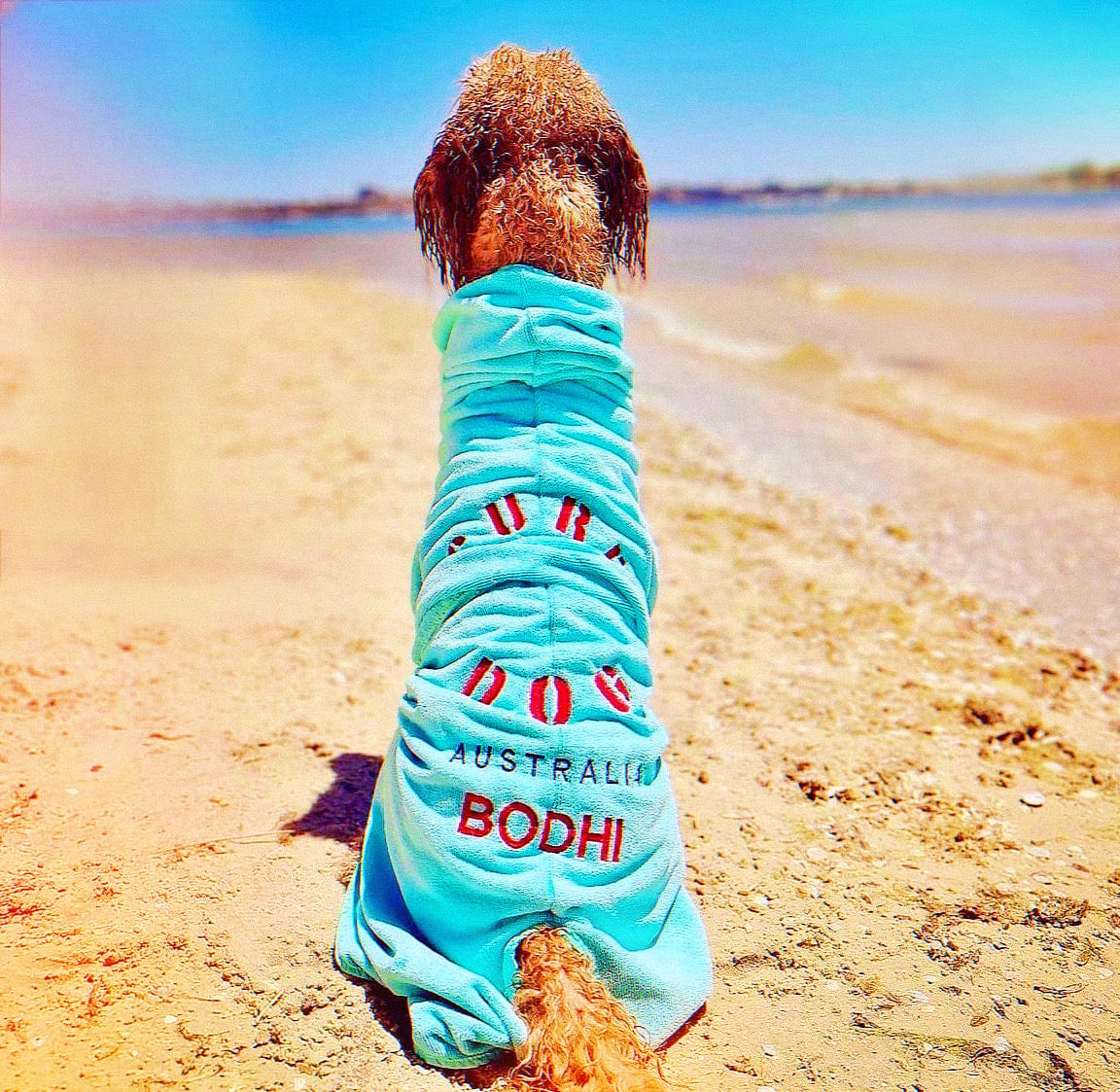 Dog Lifejackets & Custom Wetsuits – Surfdog Australia