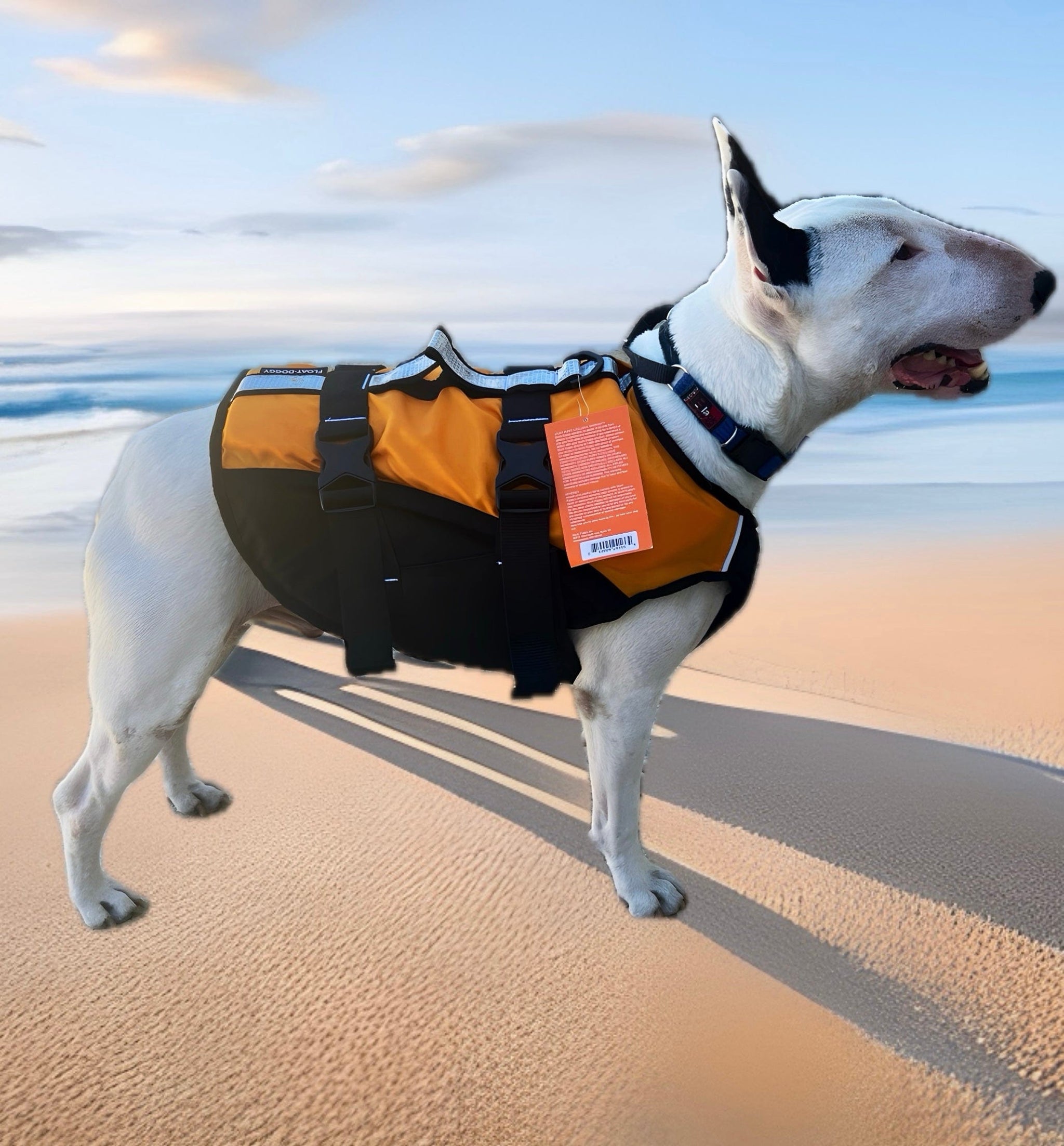 Dog Lifejackets