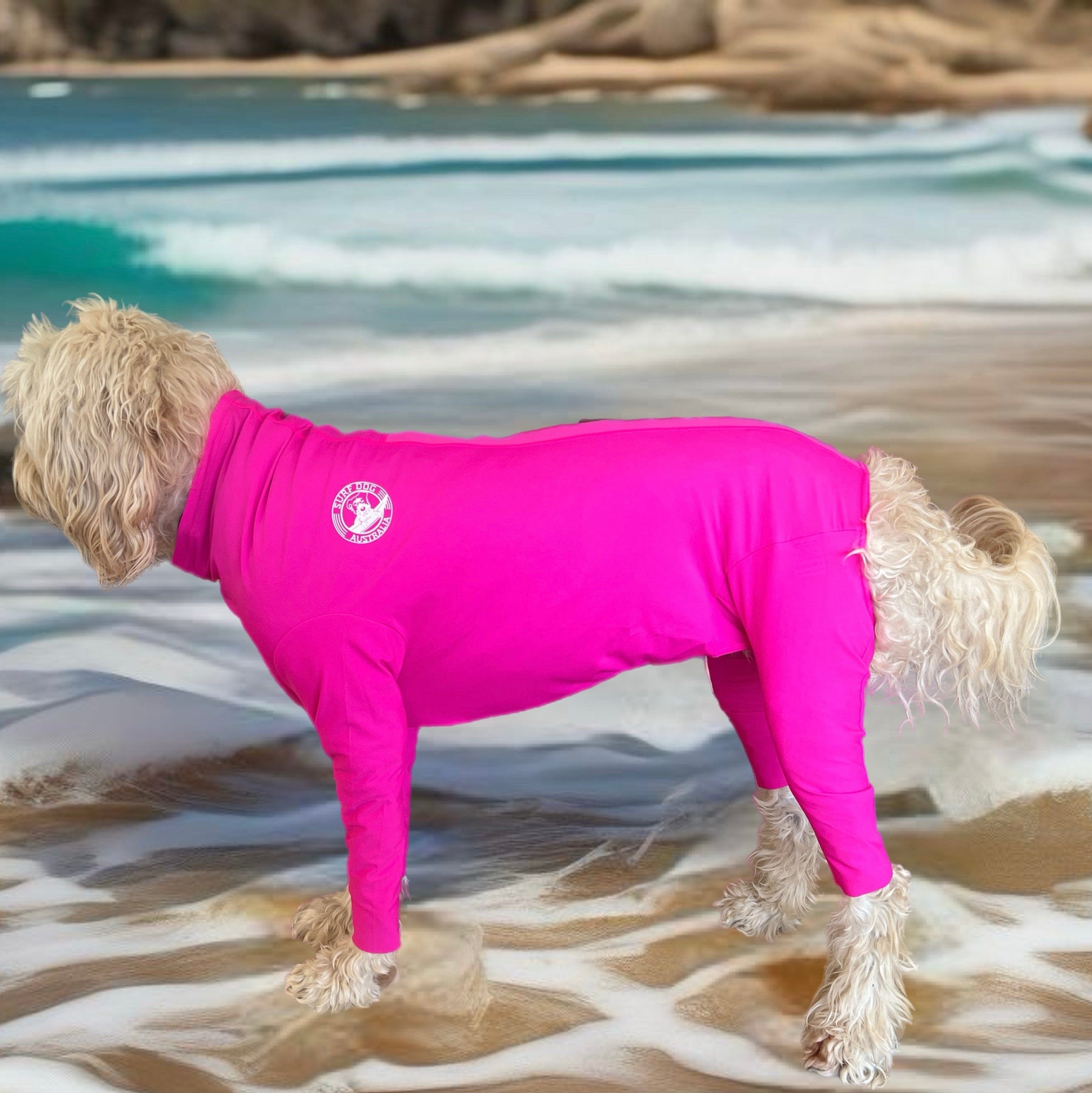 Surfdog Australia