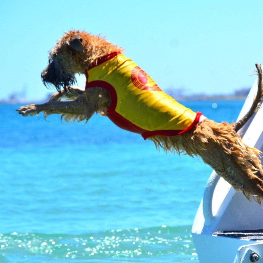 Dog Rashies by Surfdog Australia - UV protection shirts for dogs