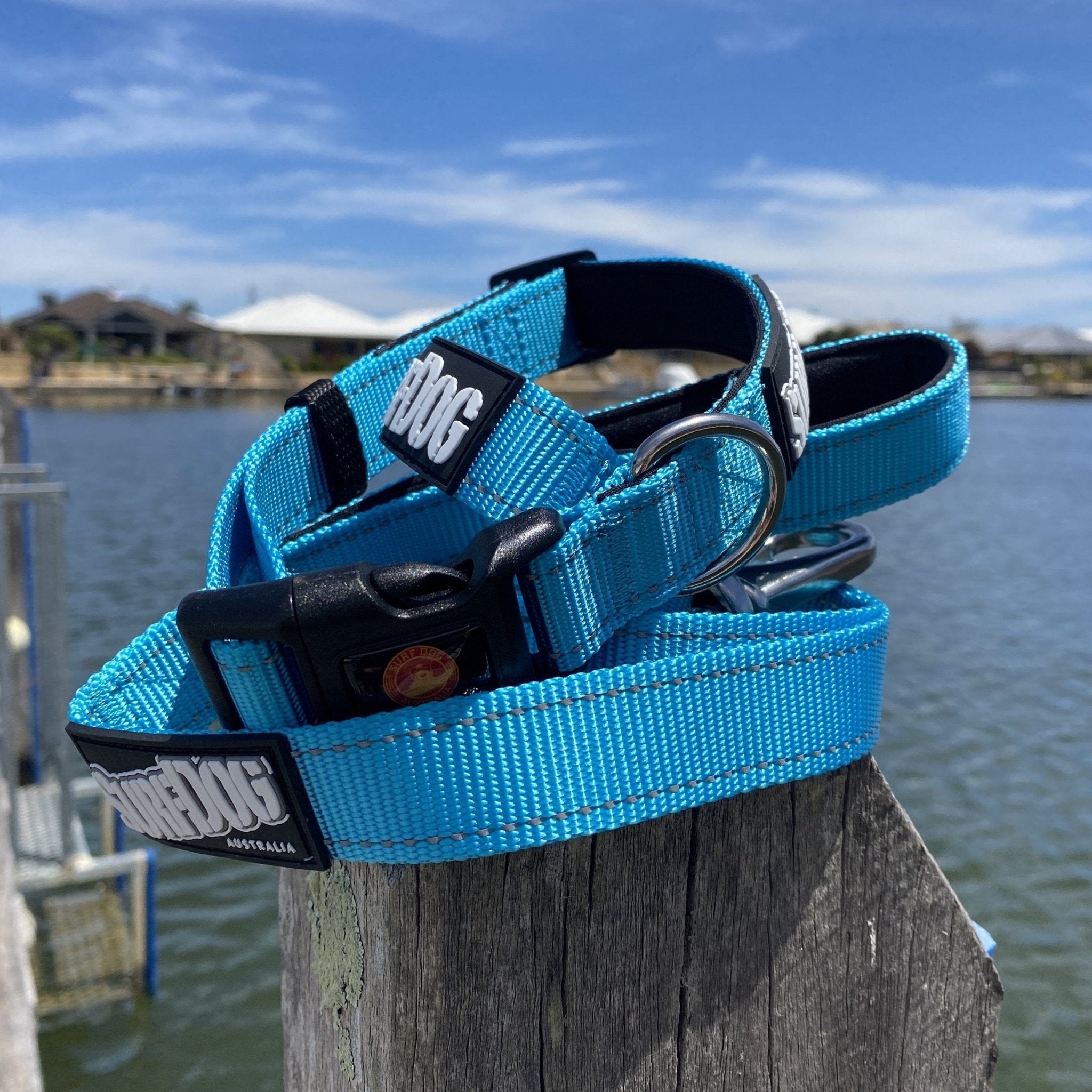 Summer Beach Collars and Leashes